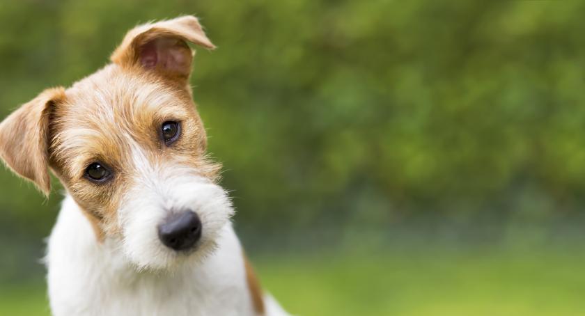 Unser Angebot - DROPA